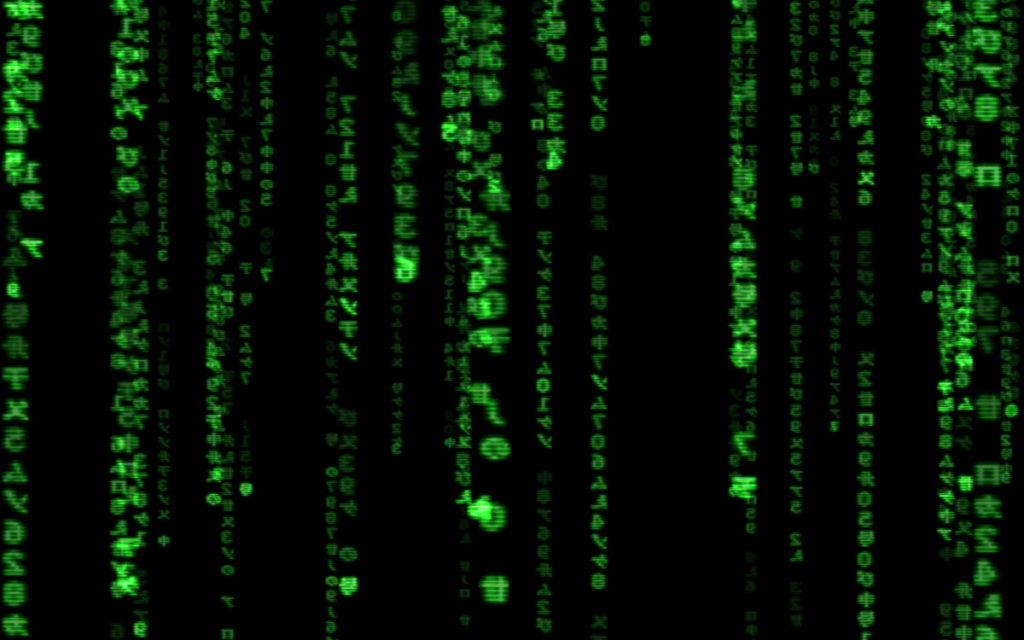 Are humans the virus species? - A Rocha BlogA Rocha Blog