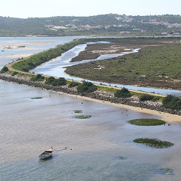 Milagros suceden cuando las personas oran - Blog A RochaBlog A Rocha