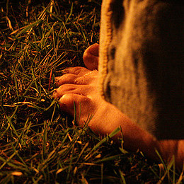 Holy Ground - A Rocha BlogA Rocha Blog