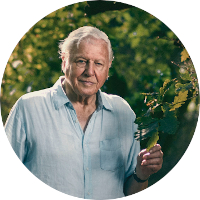 'Extinction: The Facts' – A Rocha responds in hope & action - A Rocha ...